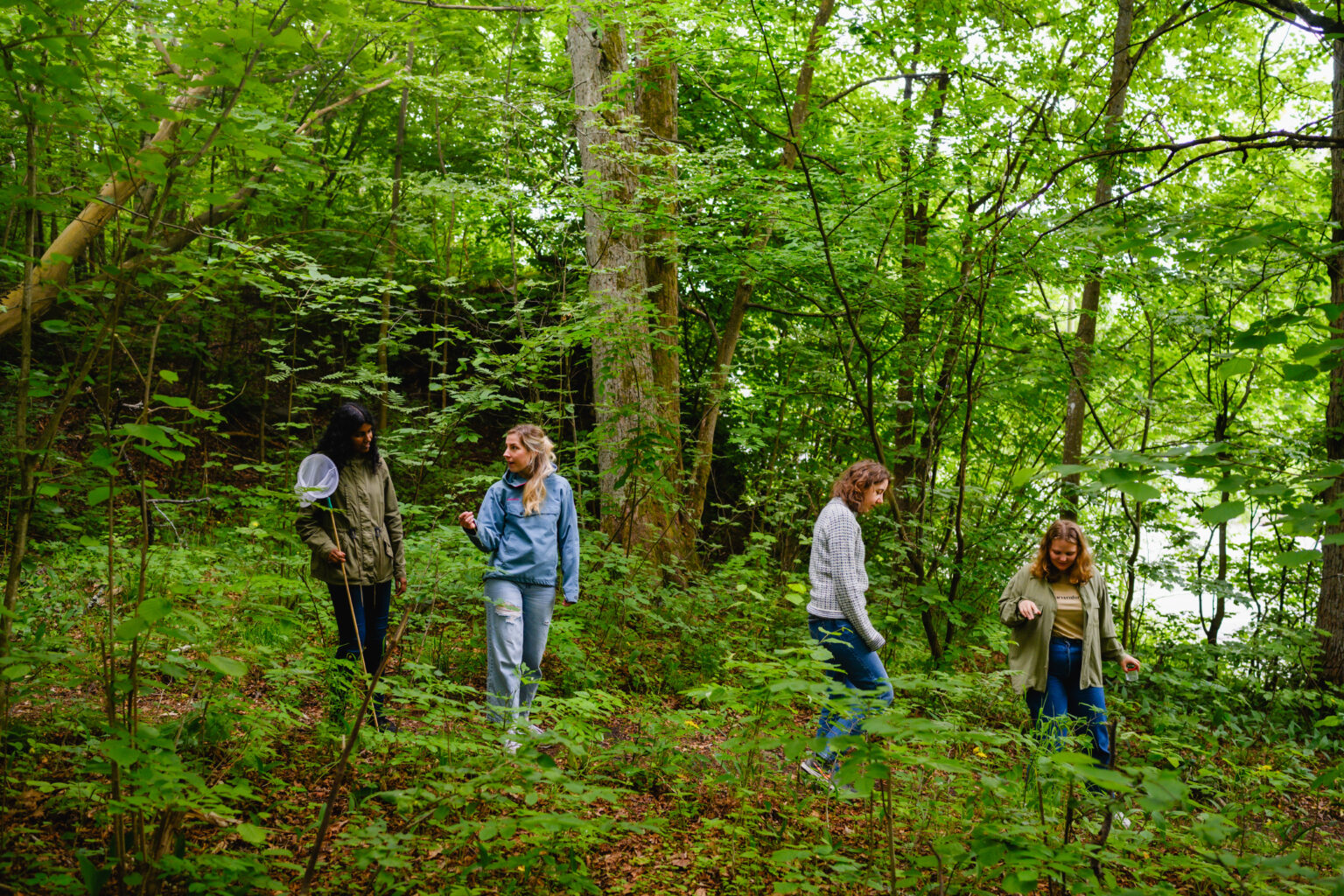 Brosjyrer og materiell - Naturvernforbundet