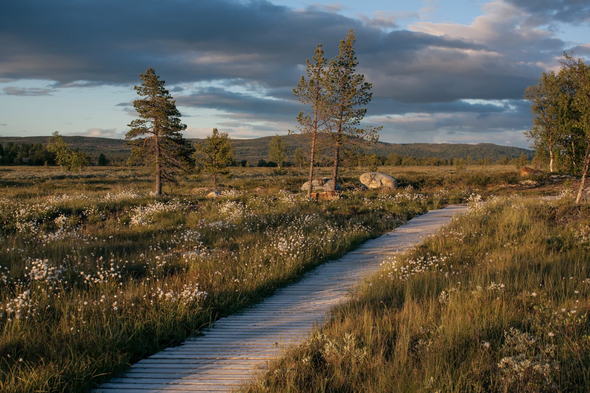 Myra - Naturvernforbundet