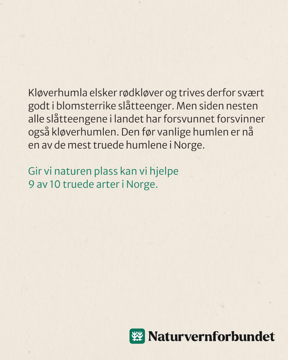 Truede arter - Naturvernforbundet