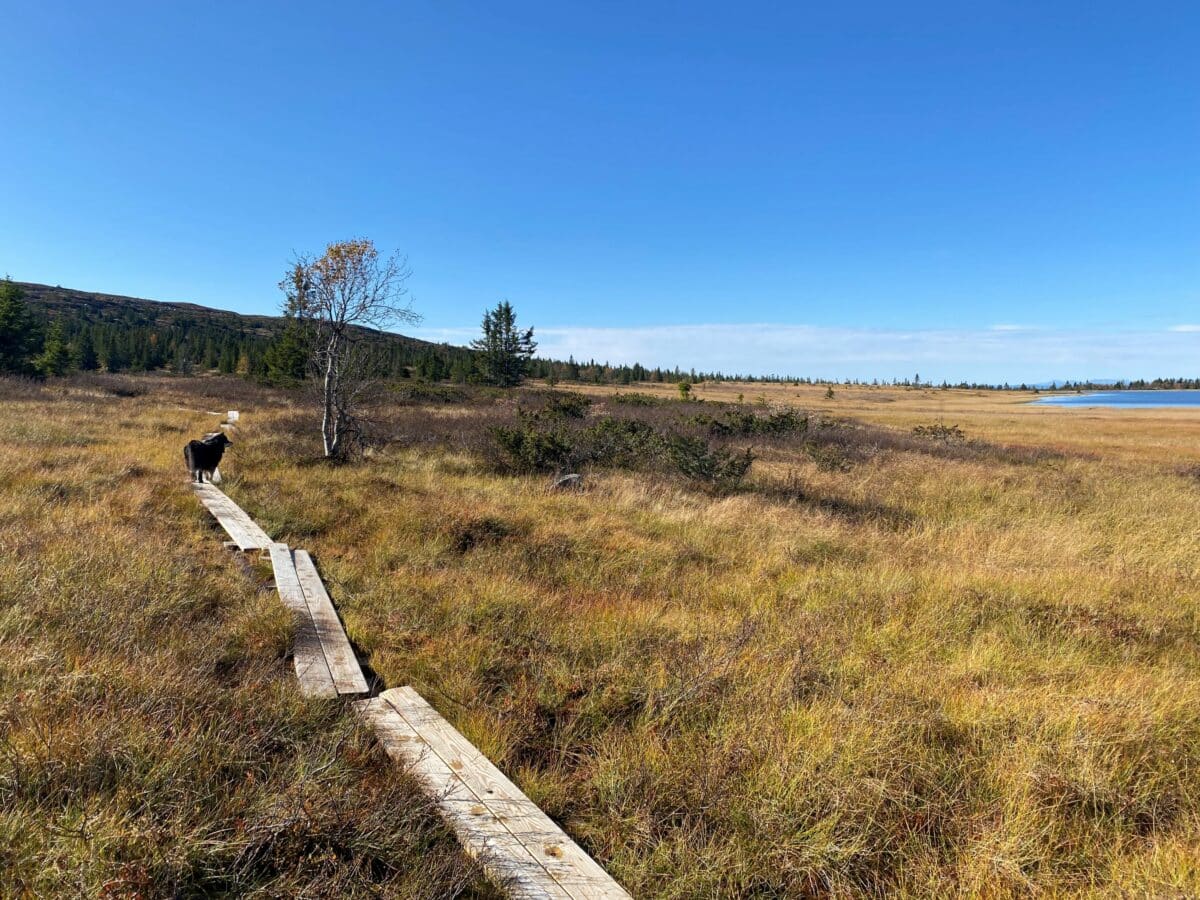 Myra - Naturvernforbundet