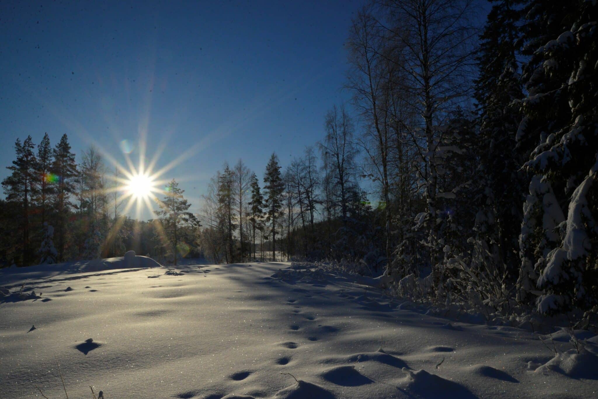Konsekvenser av klimaendringene i Norge - Naturvernforbundet