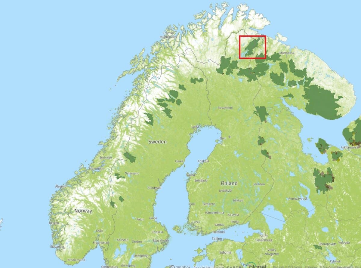 Pasvik og det manglende vernet - Naturvernforbundet