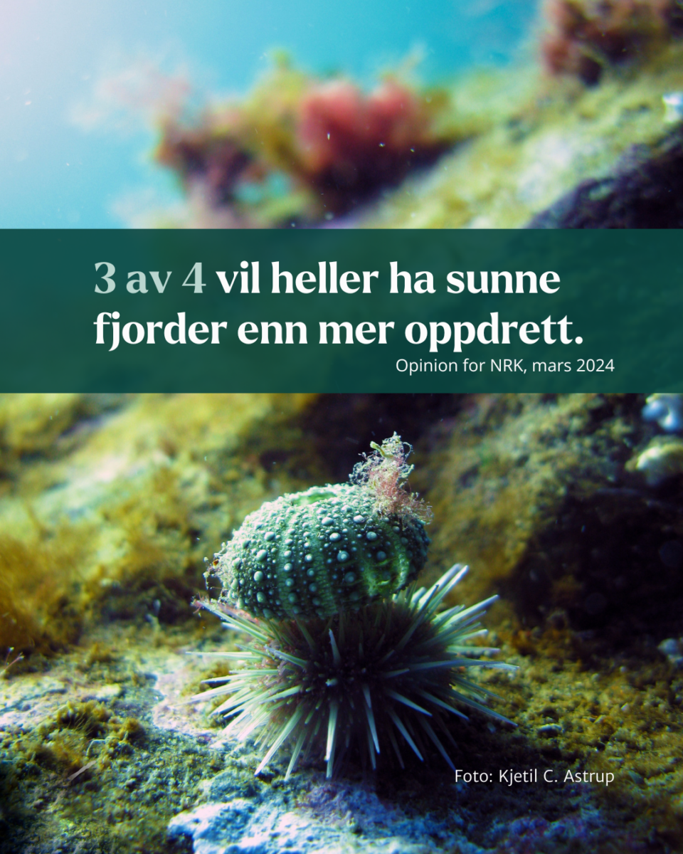 Oppdrett må bli utslippsfri - Naturvernforbundet