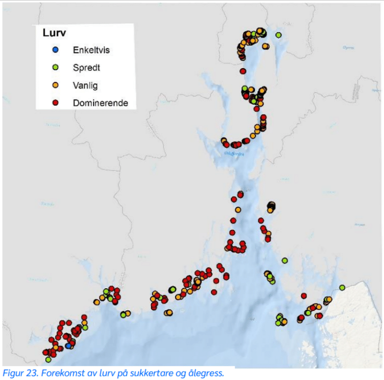 Skal lurv få ta over fjordene? - Naturvernforbundet