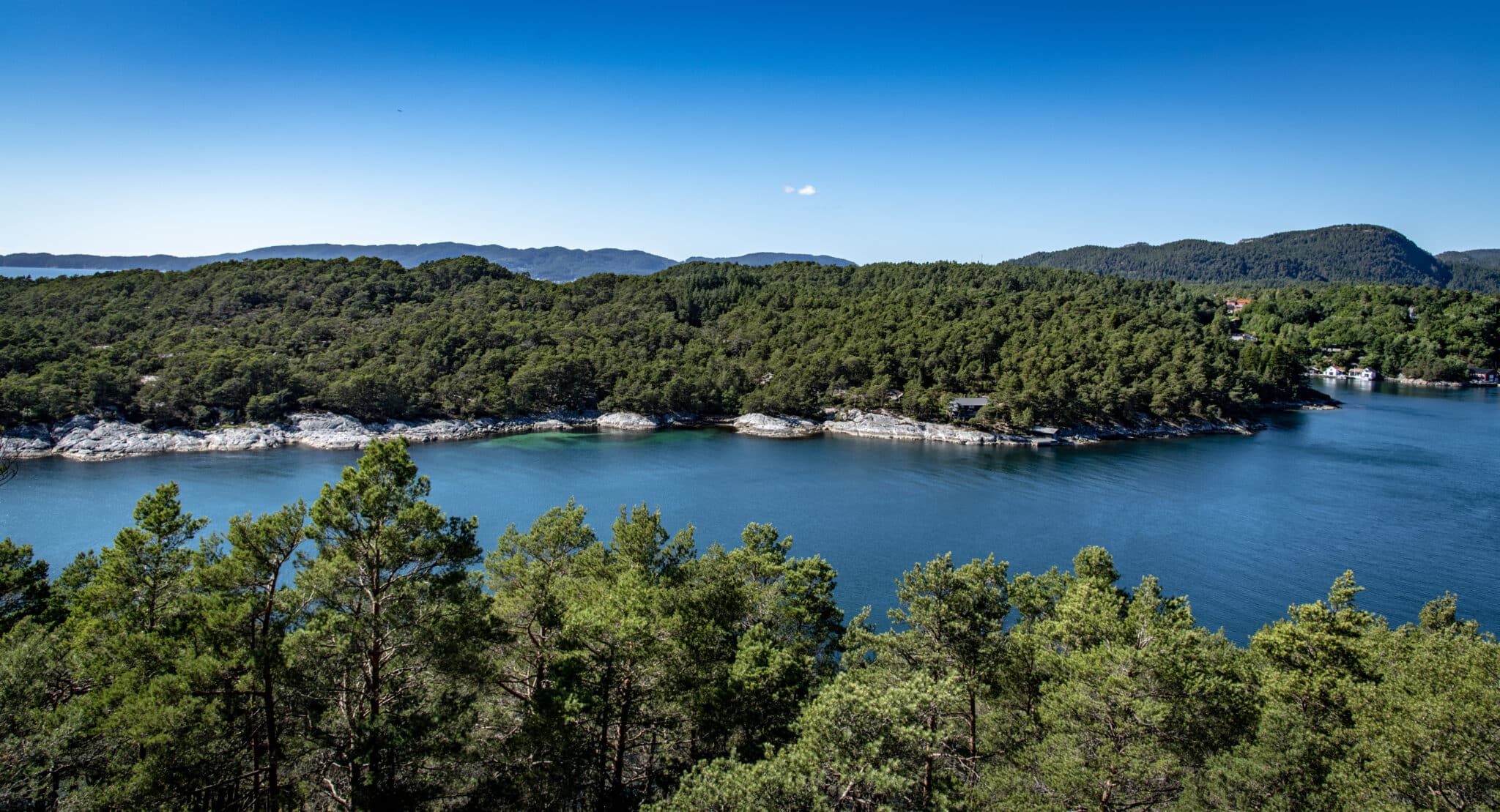 Coastal conifer forests in Western Norway - Hordaland