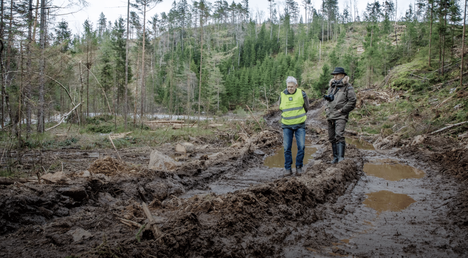 Agder fylkeslag - Agder